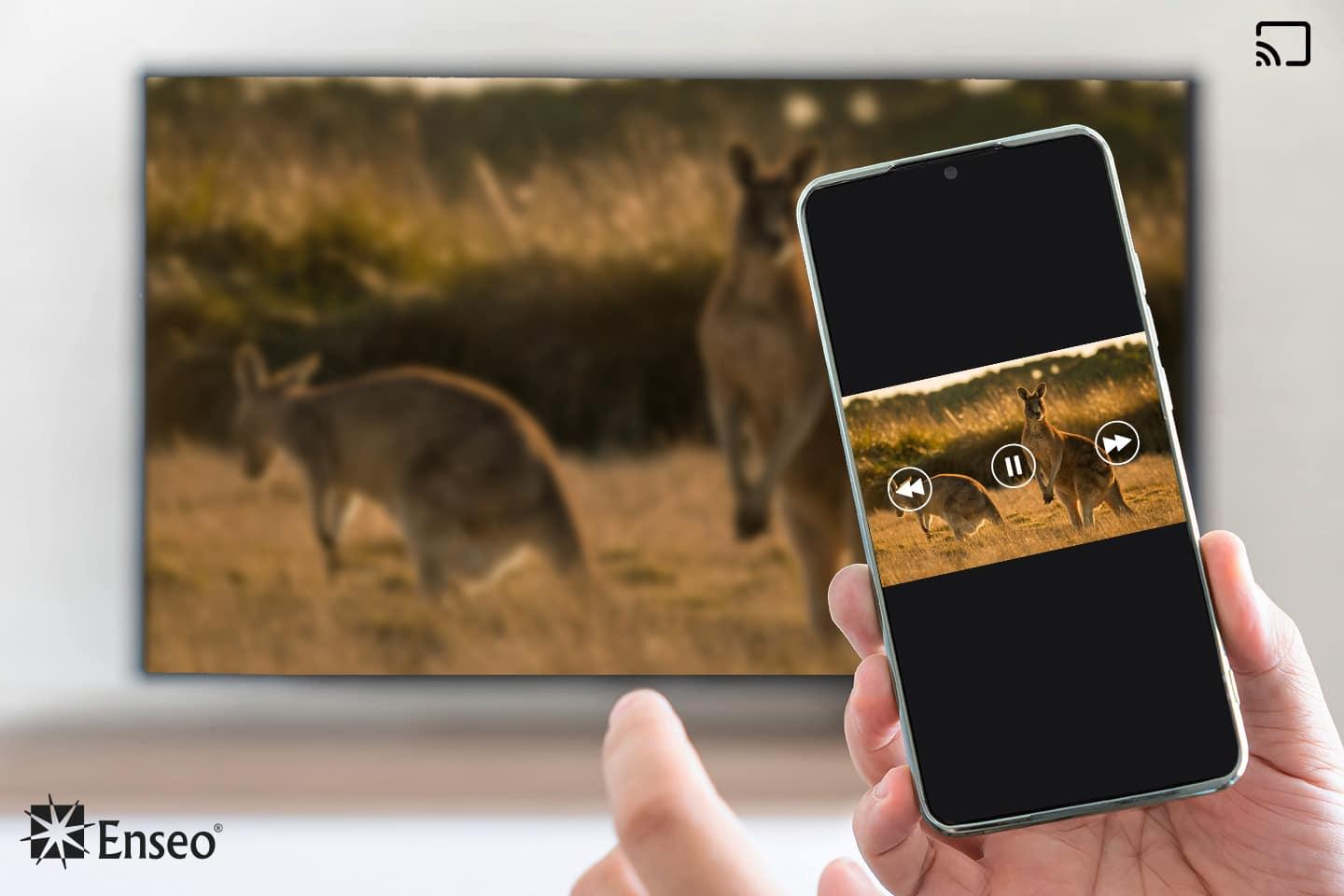 Hotel TV System Solutions | Enseo In-Room Entertainment